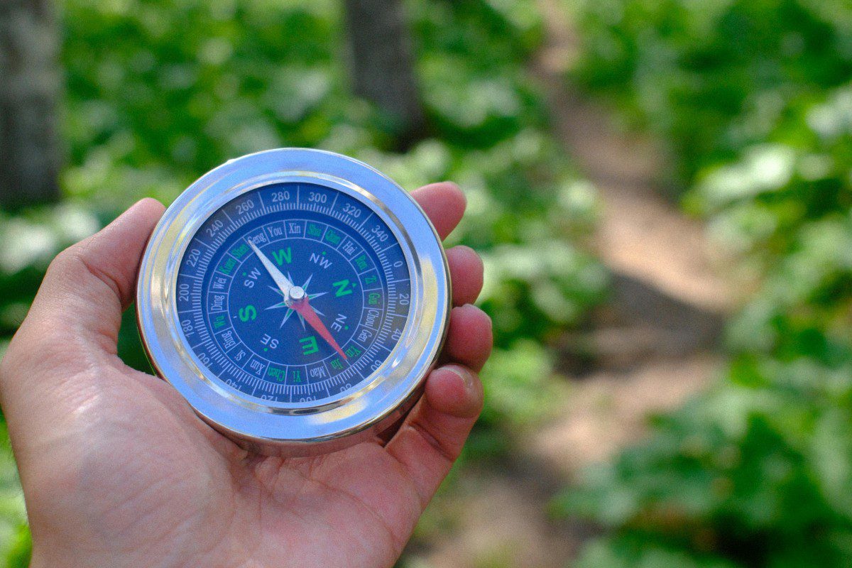 9 Summer Team Building Activity Ideas for UK Businesses